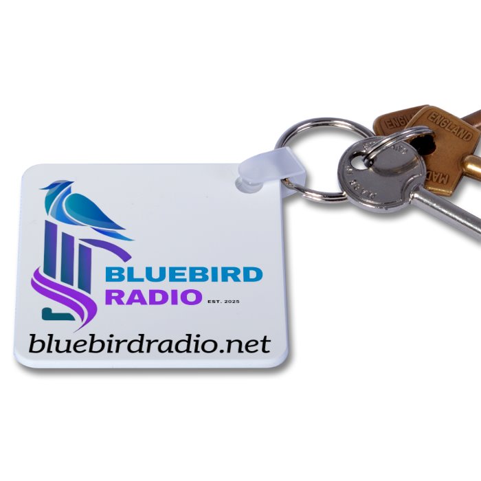 Bluebird Radio| Marketplace Shop Designs | Complete Collection